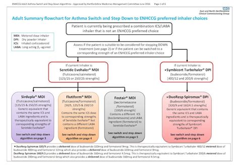 PDF Adult Summary Flowchart For Asthma Switch And Step PDF
