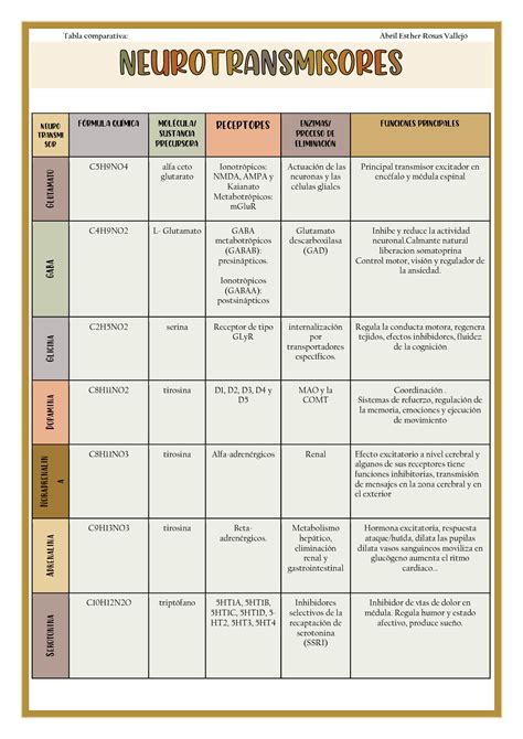 Tabla Neurotransmisores Ciclo De Vida De Los Neurotransmisores Yo