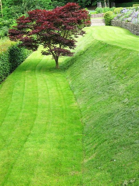 Guide Pratique Du Gazon La Terre Est Un Jardin Gazon En Rouleau