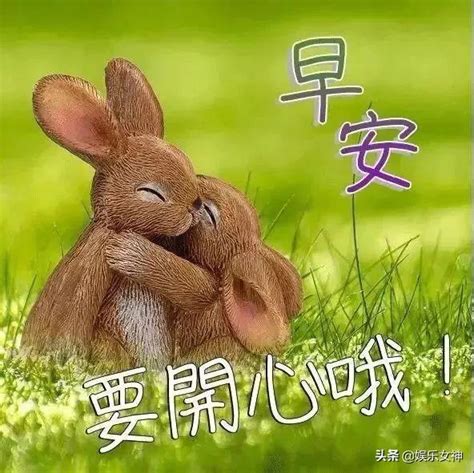 周五清晨暖心的早安问候祝福语动态图片早安唯美动态表情图片 每日头条