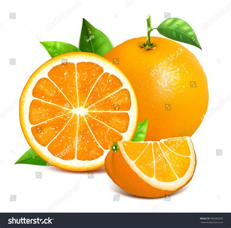 Orange Whole Slices Oranges Vector Illustration Stock Vector Royalty
