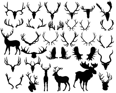 Deer Antler Svg Deer Antler Silhouette Deer Antler Svg Design Deer