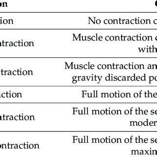 Manual Muscle Testing Scoring