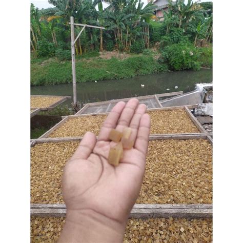 Jual Kerupuk Dorokdok Rambak Jangek Krecek Kulit Sapi Mentah Super 5kg