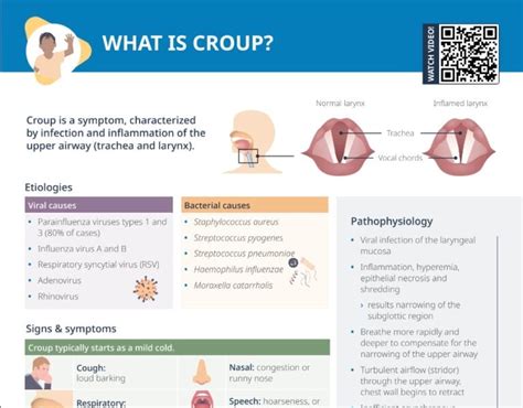 Croup Vs Whooping Cough Free Cheat Sheet Lecturio