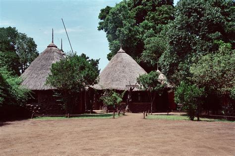 4 Days 3 Nights Lake Nakuru Masai Mara Mid Luxury Safari Package