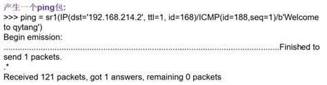 python scapy ping 程序员大本营