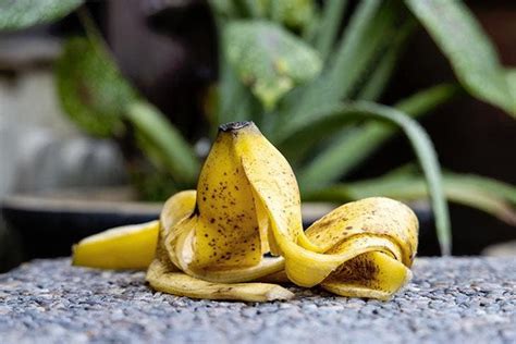 Não jogue fora essa parte da banana vale ouro use a destas formas