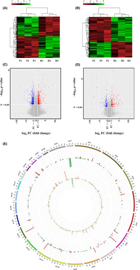 Differential Expression Of LncRNAs And MRNAs Between Cryptococcal