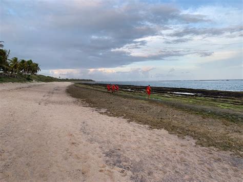 Homem é encontrado morto na Praia do Francês Alagoas 24 Horas Líder