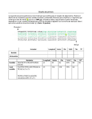 Diseno De Primers Pdf