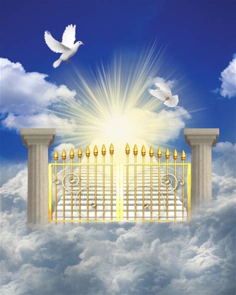 Amazon AOFOTO 4x5ft Heaven Gate Background Gates Of Paradise In