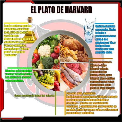 El plato de Harvard descubre cómo puede mejorar tu alimentación HOYSOY
