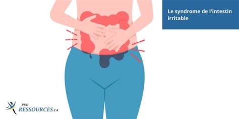 Le Syndrome De L Intestin Irritable Pro Ressources Ca