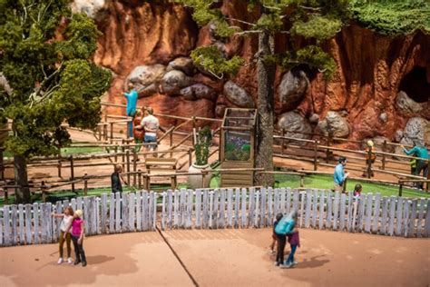 Photos Video Tiana S Bayou Adventure Model Reveals Reimagined Splash