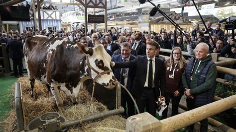 Salon De L Agriculture Le Vaucluse Tient Salon Paris