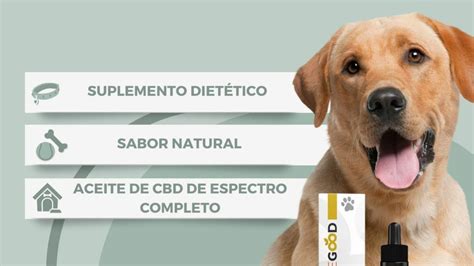 LiveGood Presenta Una Propuesta De Valor Por Ronald Gálvez Ganar