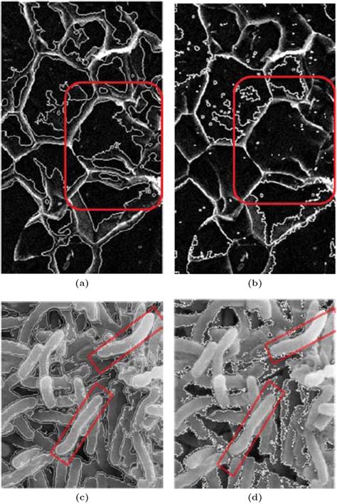 the proposed method vs watershed segmentation a example 1 segmented download scientific