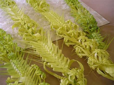 Domenica Delle Palme Il Significato Della Festa E Dei Suoi Simboli
