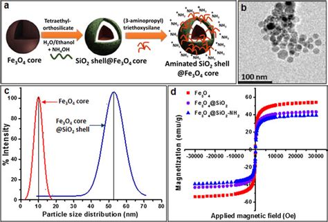 synthesis of fe3o4 sio2 nh2 magnetic core shell nanoparticles mcsnps download scientific