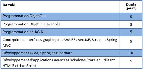 langages de programmation tunnel it