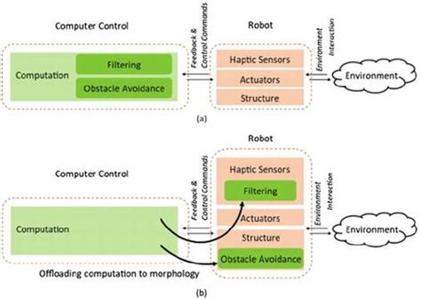 morphological computation in haptic sensation and interaction from nature to robotics advanced