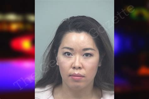Pauline Ho Gwinnett County Jail Bookings