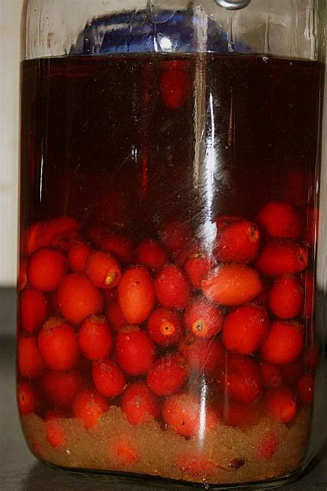 Hagebuttenlikör Hagebutten rezepte Schnaps rezepte Likör rezepte