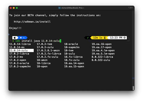 java spring project on vscode doesn t run stack overflow