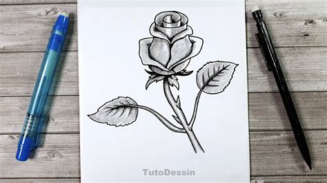 Comment Dessiner Une Rose Au Crayon De Papier Et Au Stylo Noir Tuto