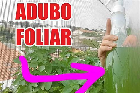 Como Fazer Adubo Foliar Para Deixar Suas Plantas Ainda Mais Bonitas E