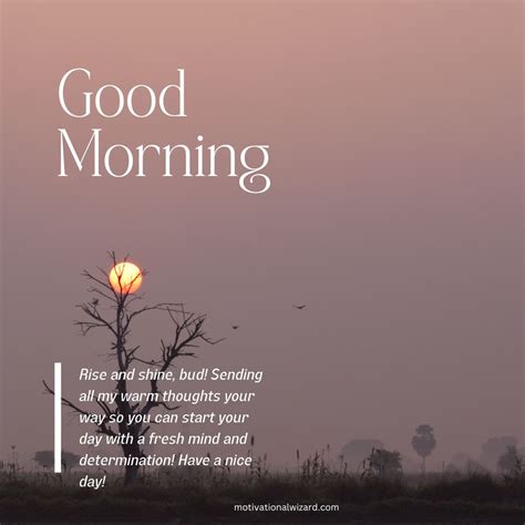 Top Positive Good Morning Images With Quotes Amazing Collection