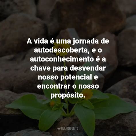 Sobre A Vida Frases Perfeitas Querido Jeito