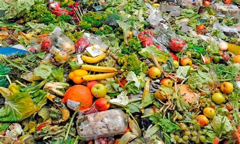 Estratégia Nacional e Plano de Ação de Combate ao Desperdício Alimentar