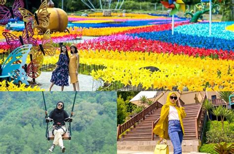 26 Destinasi Wisata Puncak Cisarua Bogor Dan Cianjur Yang Hits Viral