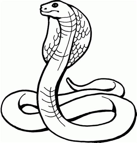 20 Free Printable Snake Coloring Pages EverFreeColoring