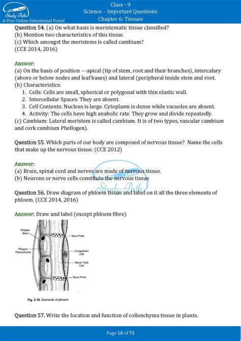Important Questions For Class Science Chapter Tissues Study Path