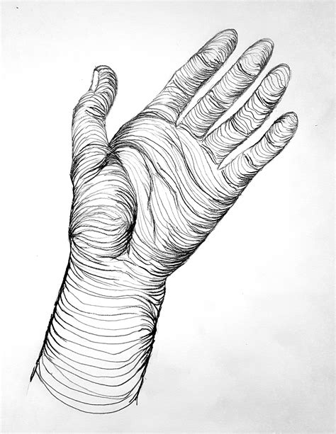 Countour Line Drawing