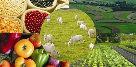 Sistema CNA Senar lança projeto Agro pelo Brasil