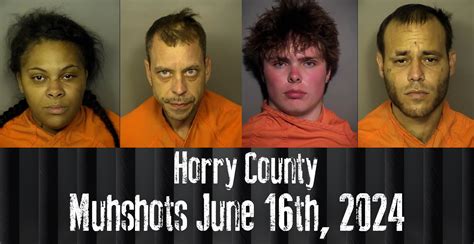 Horry County Mugshots June 16th 2024 WFXB