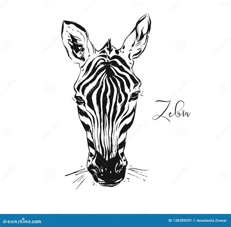 Hand Drawn Vector Abstract Artistic Ink Textured Graphic Sketch Drawing