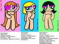 Post Blossom Bubbles Buttercup Powerpuff Girls Sniper Tomcat