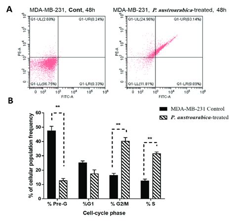 Flow Cytometry Analysis Of MDA MB 231 Untreated And Treated Cells With
