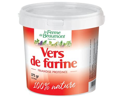 Vers De Farine Pour Poules Okgo Net