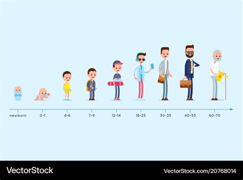Stages Of Growing Up Life Cycle Graph Royalty Free Vector