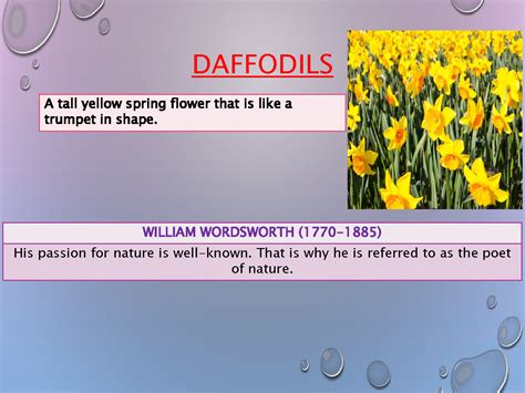 SOLUTION Daffodils Poem Summary Studypool