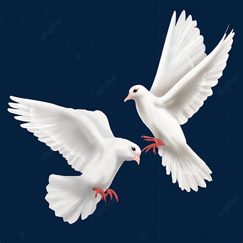 Peace Dove Hd Transparent Two Hand Painted Realistic Peace Doves