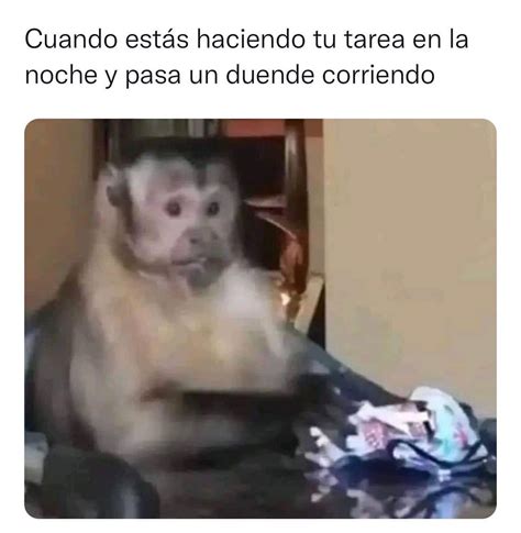 Cuando me explican cómo me alburearon y sigo sin entender Memes