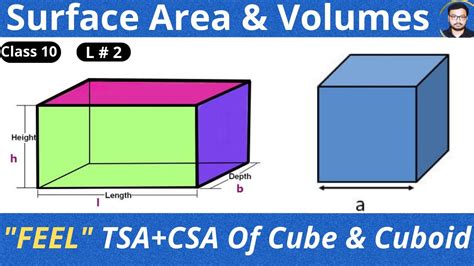 surface area and volume of cube and cuboid cube and cuboid class 10 tsa and csa of all