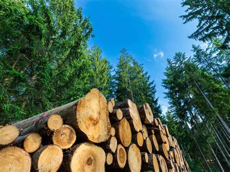 Datos Ley General De Desarrollo Forestal Sustentable Nasa Pack